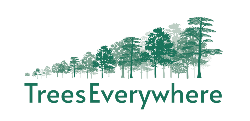 Quarante Six s’engage avec Trees-Everywhere dans la réduction du niveau ...